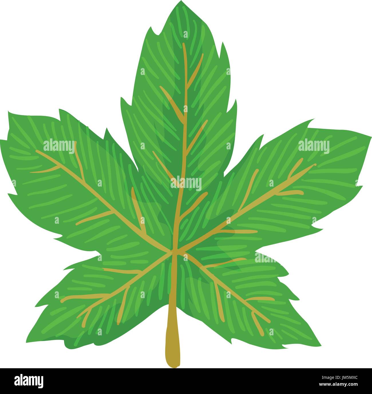 Maple leaf icon, cartoon style Stock Vector Image & Art - Alamy