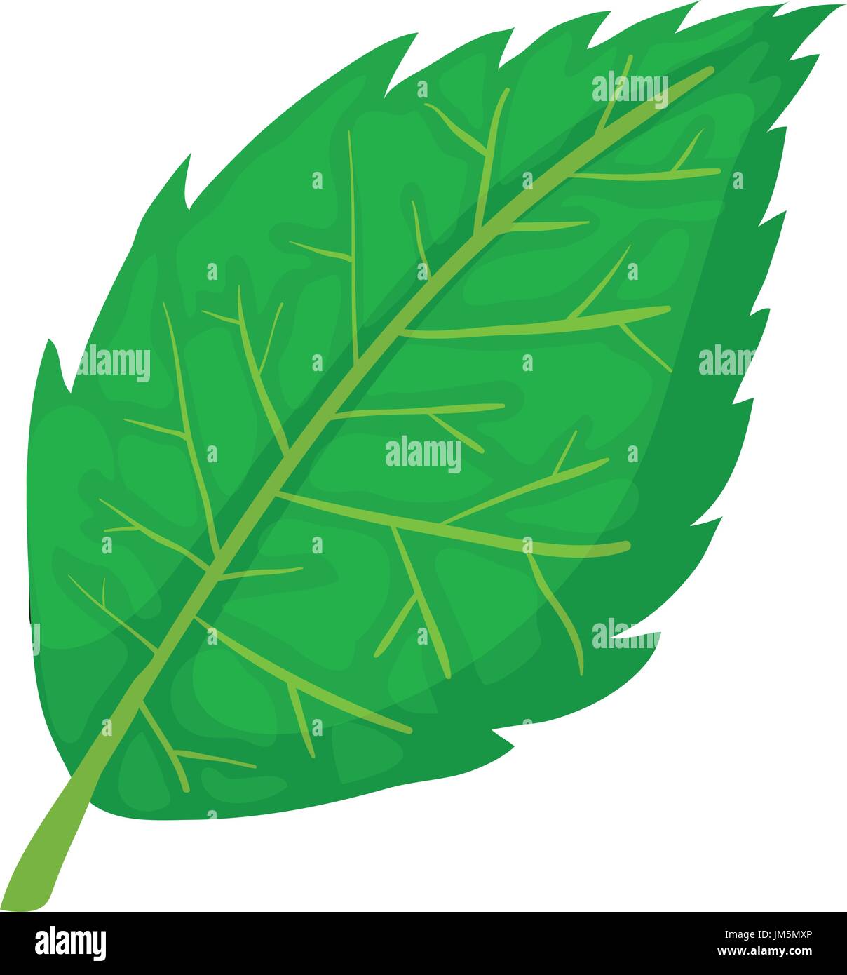 Birch Forest Cartoon Stock Photos & Birch Forest Cartoon Stock Images ...