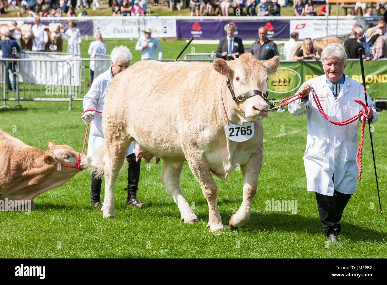 Royal Welsh Agricultural Show,held,annually,at, Royal Welsh Showground ...