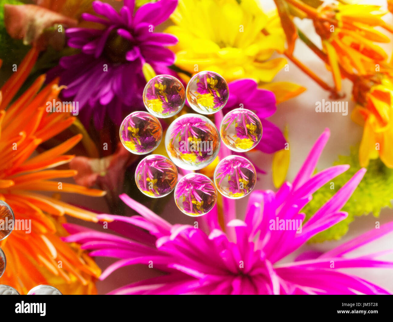 flowers-refraction-9-stock-photo-alamy