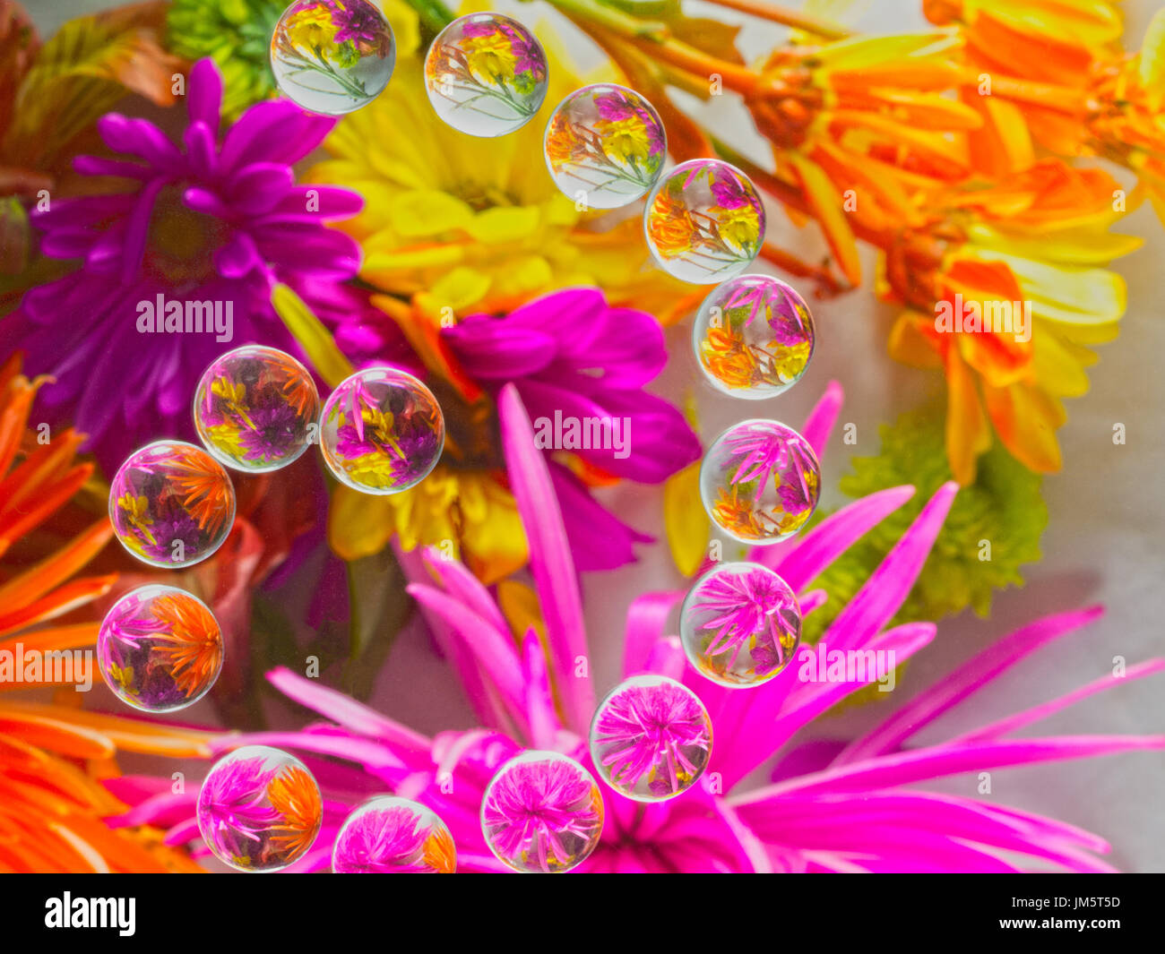 FLOWERS REFRACTION 15 Stock Photo - Alamy