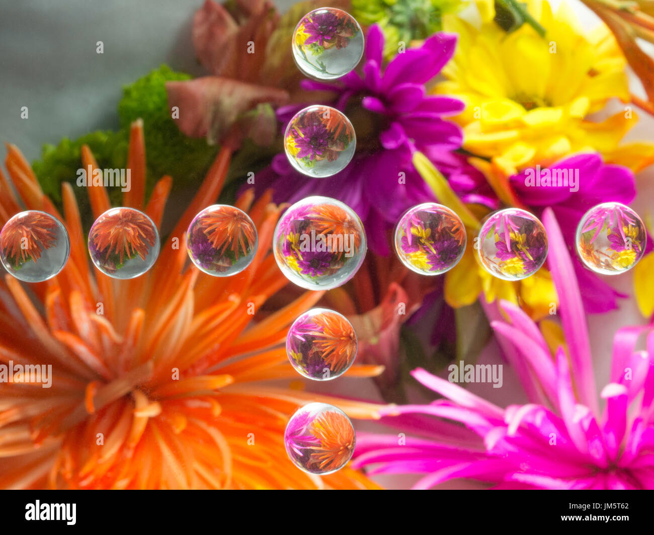 FLOWERS REFRACTION 16 Stock Photo - Alamy