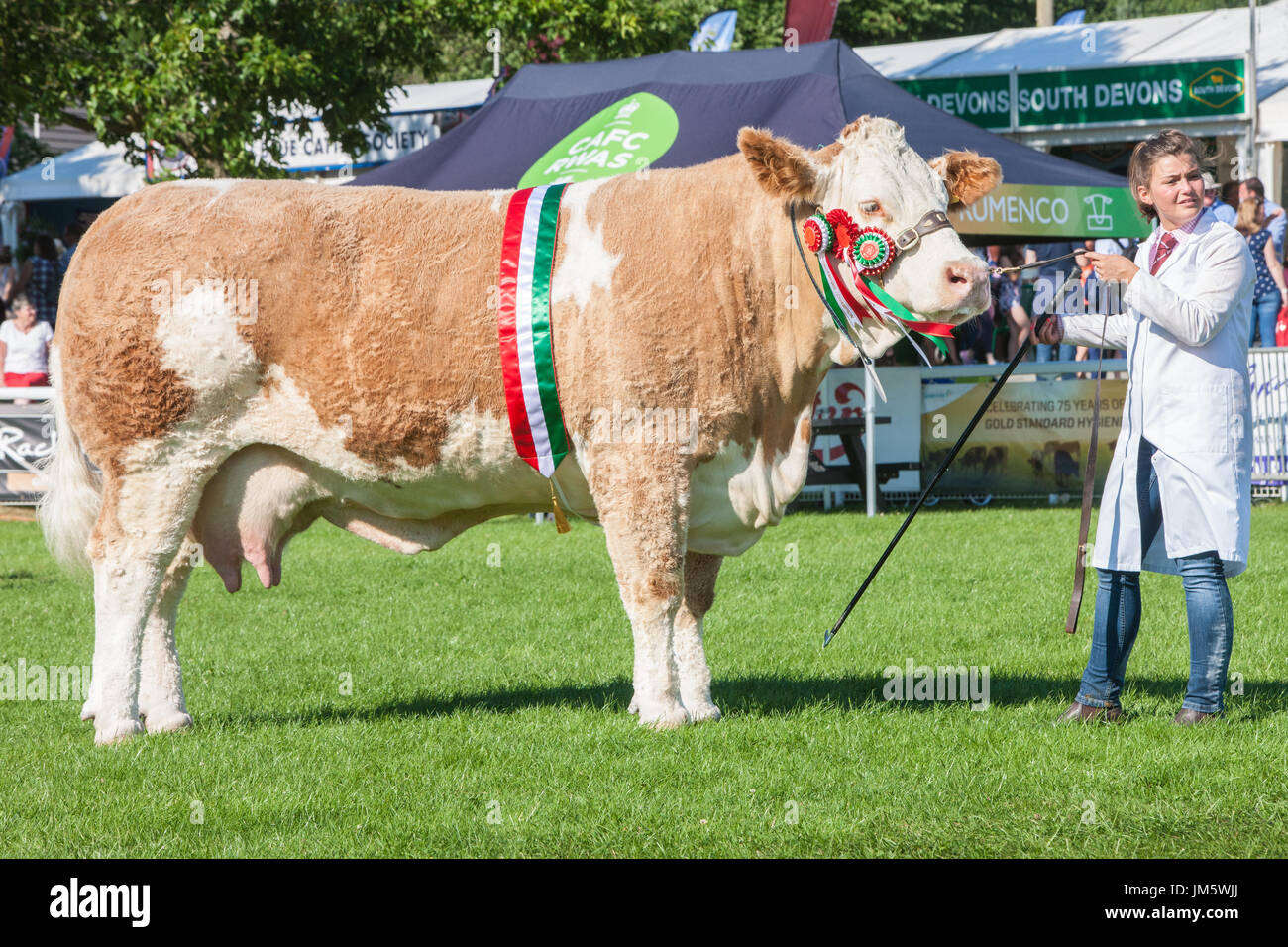 Royal Welsh Agricultural Show,held,annually,at, Royal Welsh Showground ...