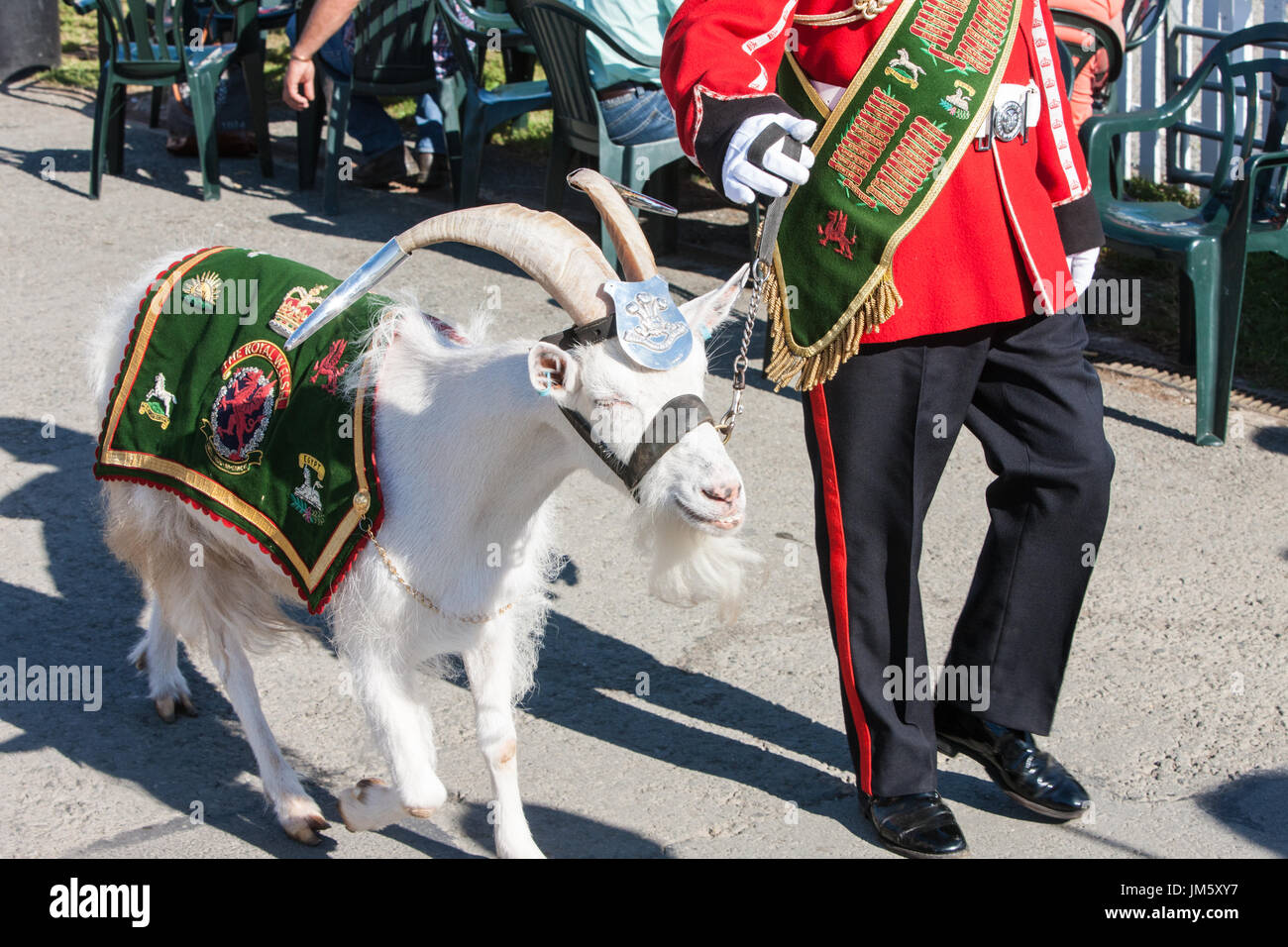 Rwas hi-res stock photography and images - Alamy