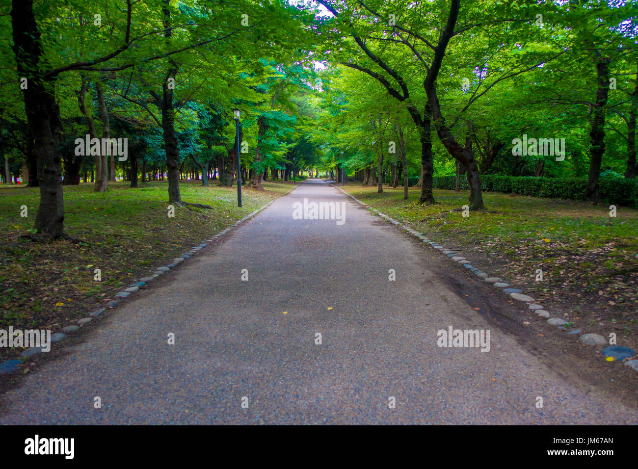 Pavement path in a park near of the Osaka Castle in Osaka, the castle ...