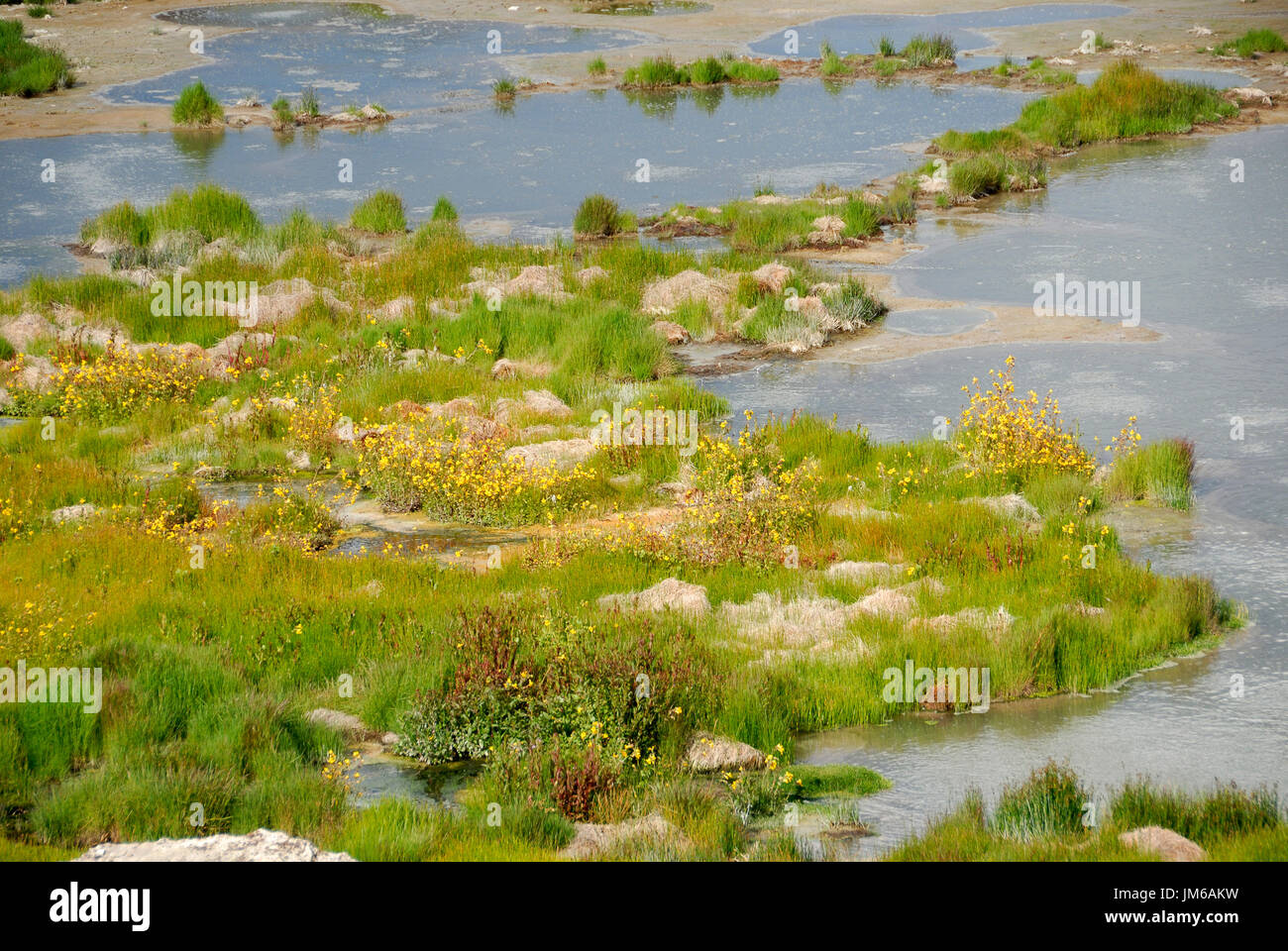 Hot water basins hi-res stock photography and images - Alamy
