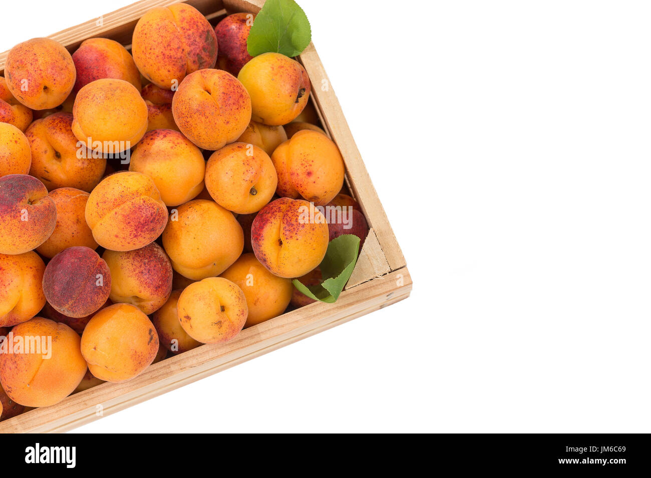 wood box with apricots on a white background Top view Stock Photo - Alamy