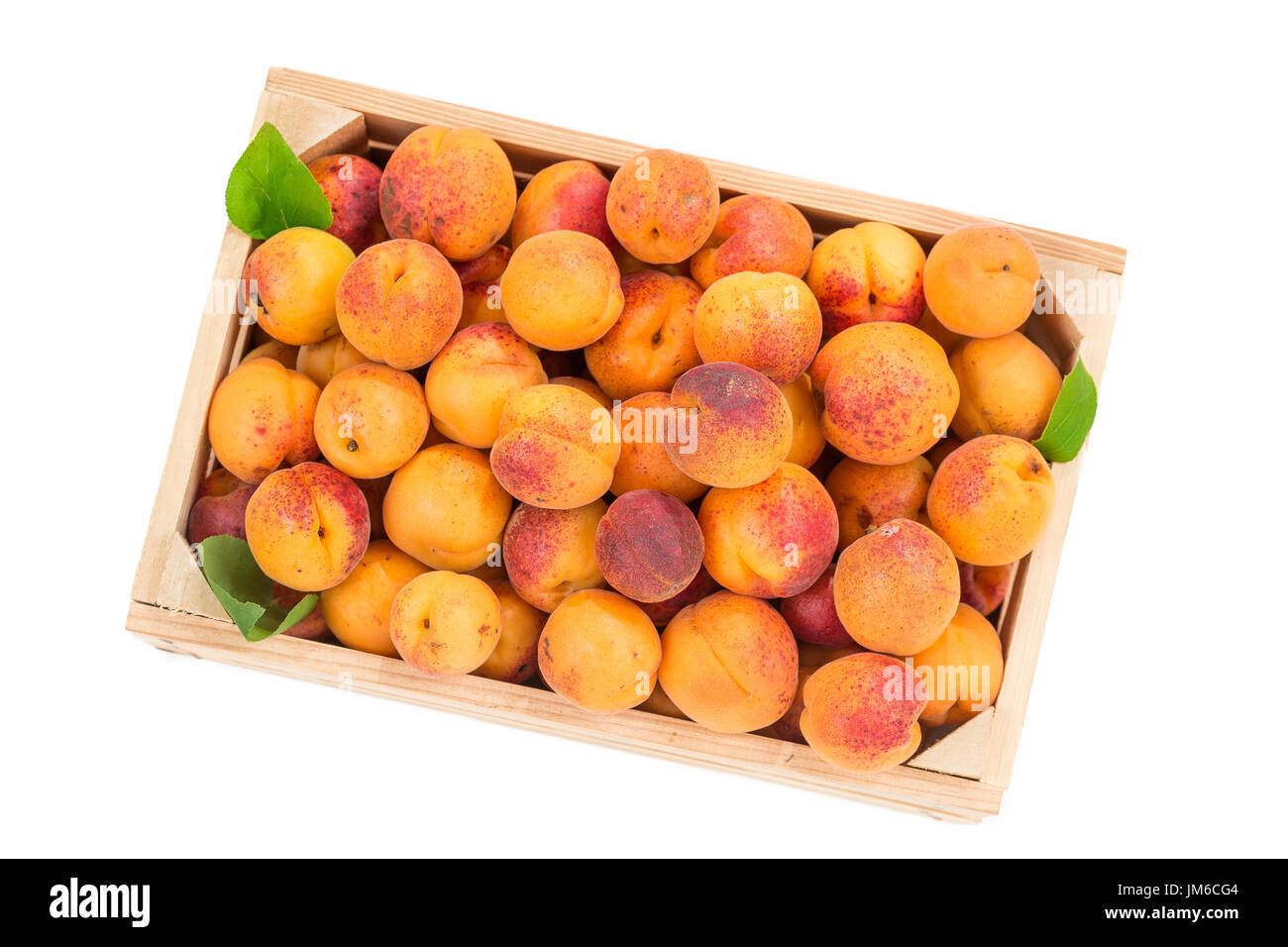 wood box with apricots on a white background Top view Stock Photo - Alamy