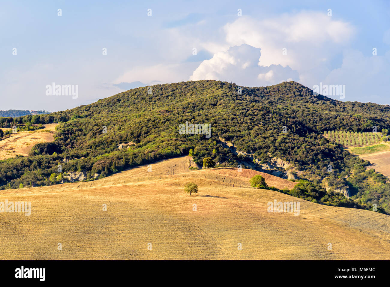 Aerial view of a tuscan landscape in summer Stock Photo - Alamy