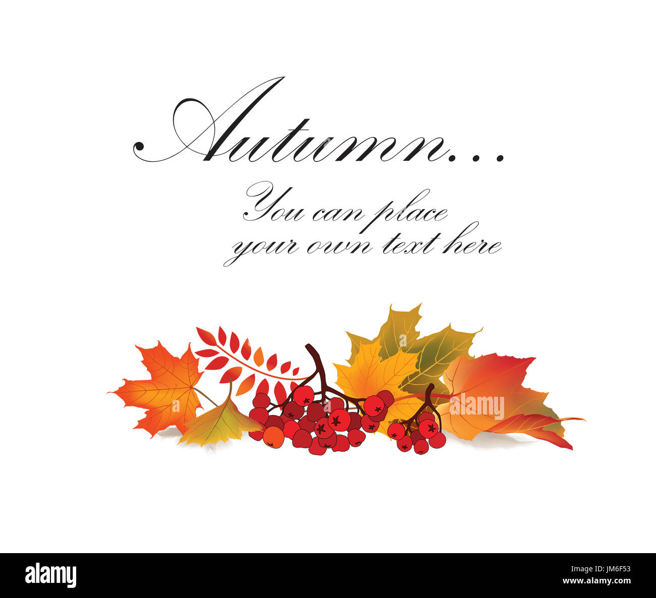Fall leaf nature banner. Autumn leaves background. Season floral ...