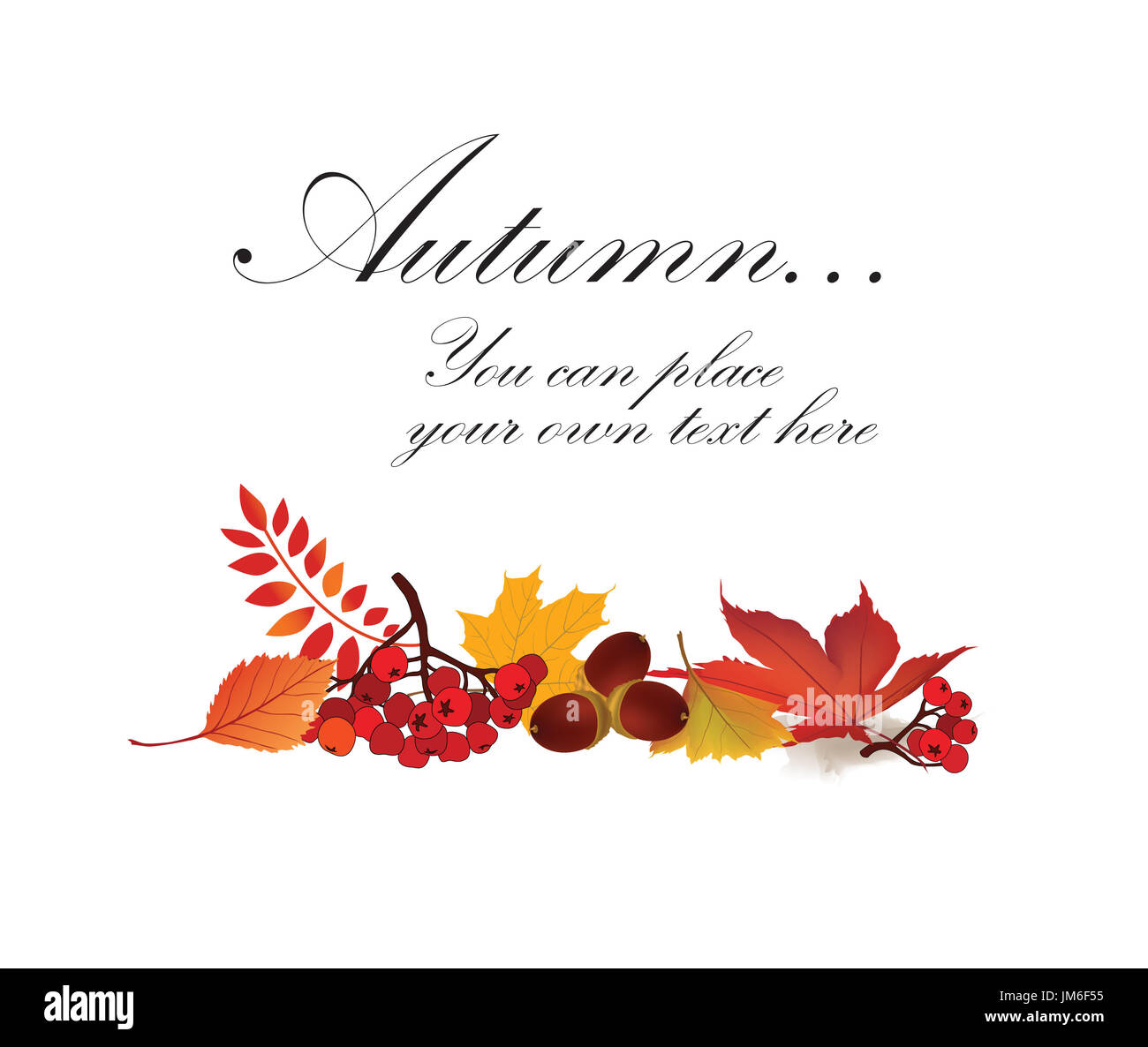 Fall leaf nature banner. Autumn leaves background. Season floral ...