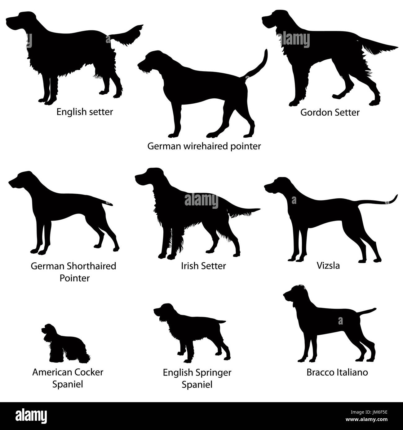 Dog icon set. Gun dogs vector illustration. Silhouette Collection of ...