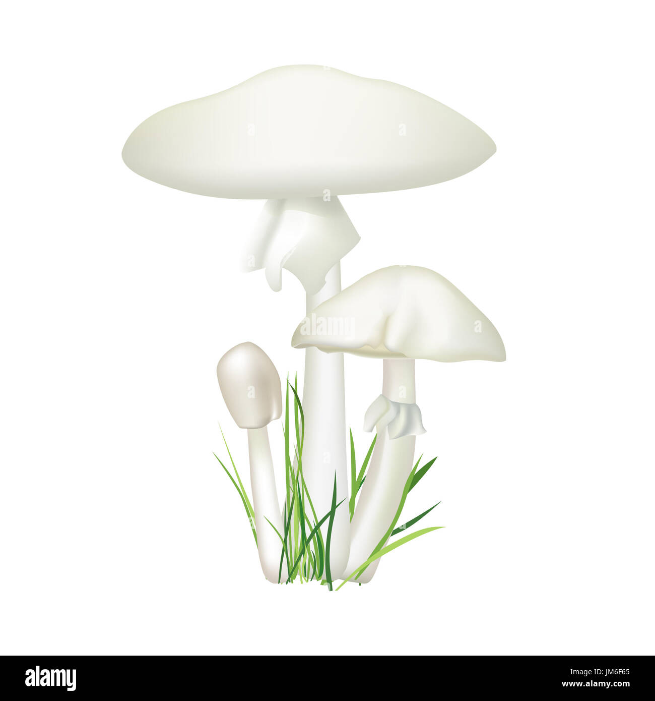 Deadly parasol Cut Out Stock Images & Pictures - Alamy