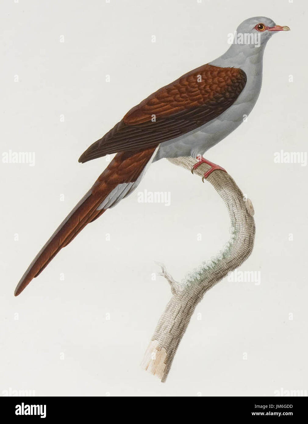 Paris 1838 hi-res stock photography and images - Alamy