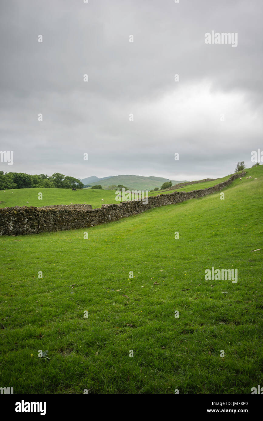 Green pasture fence open hi-res stock photography and images - Alamy
