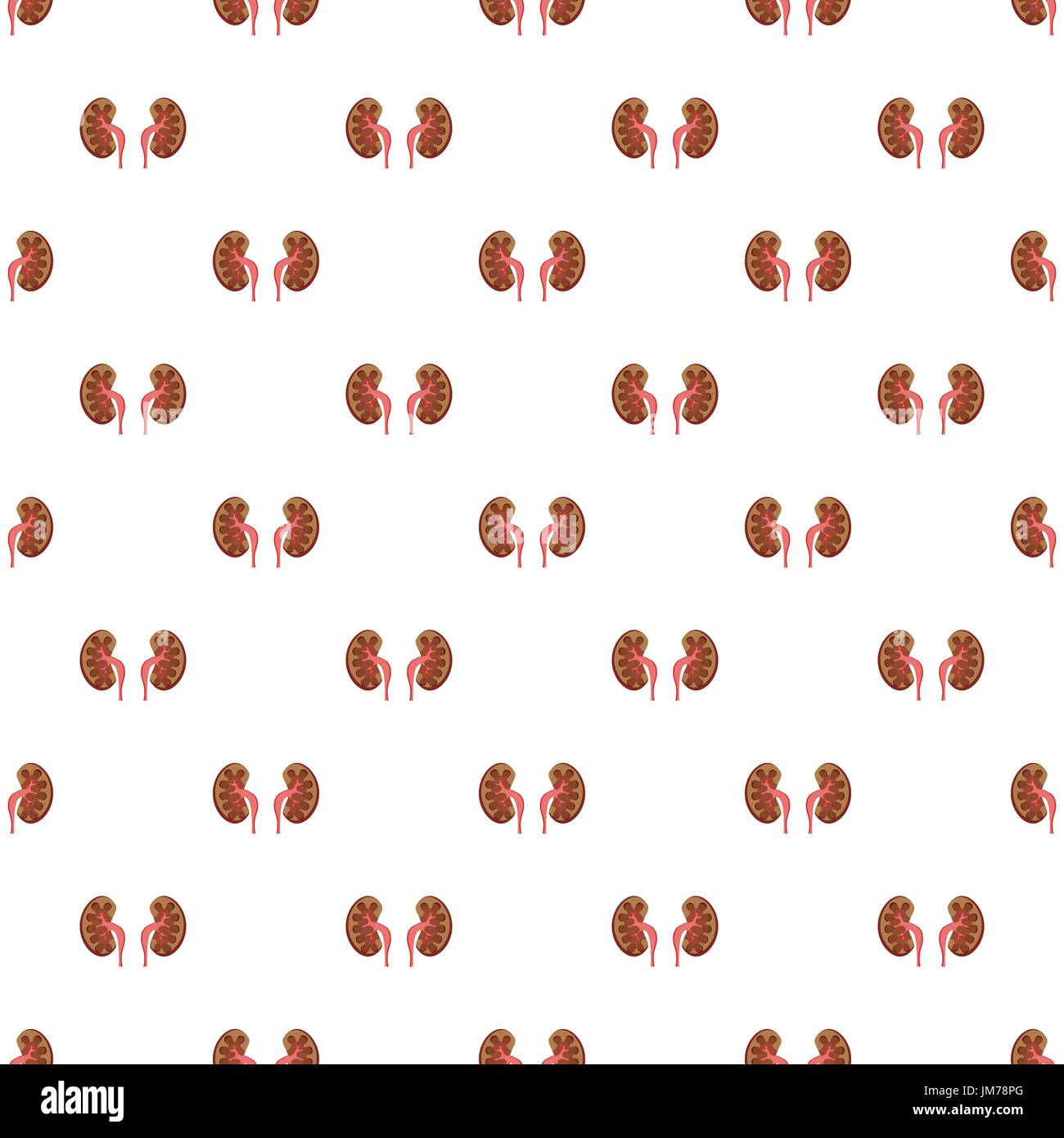 Human kidneys pattern Stock Vector Image & Art - Alamy
