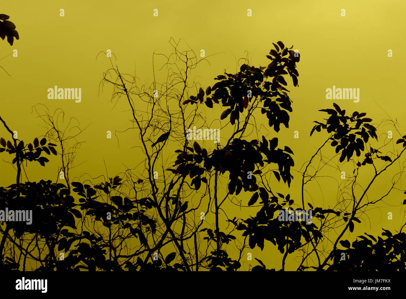 Perchtone hi-res stock photography and images - Alamy