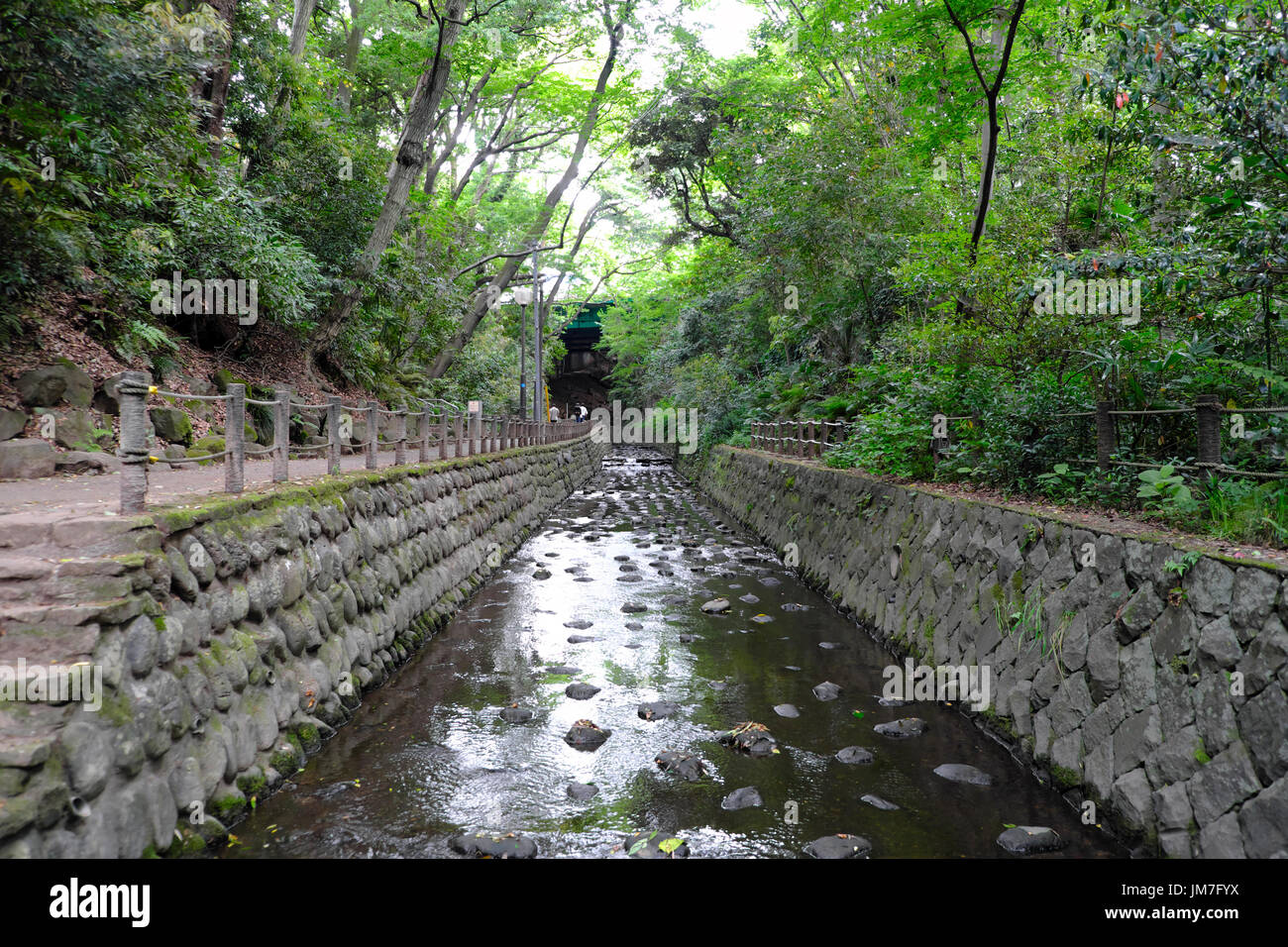 Todoroki hi-res stock photography and images - Alamy