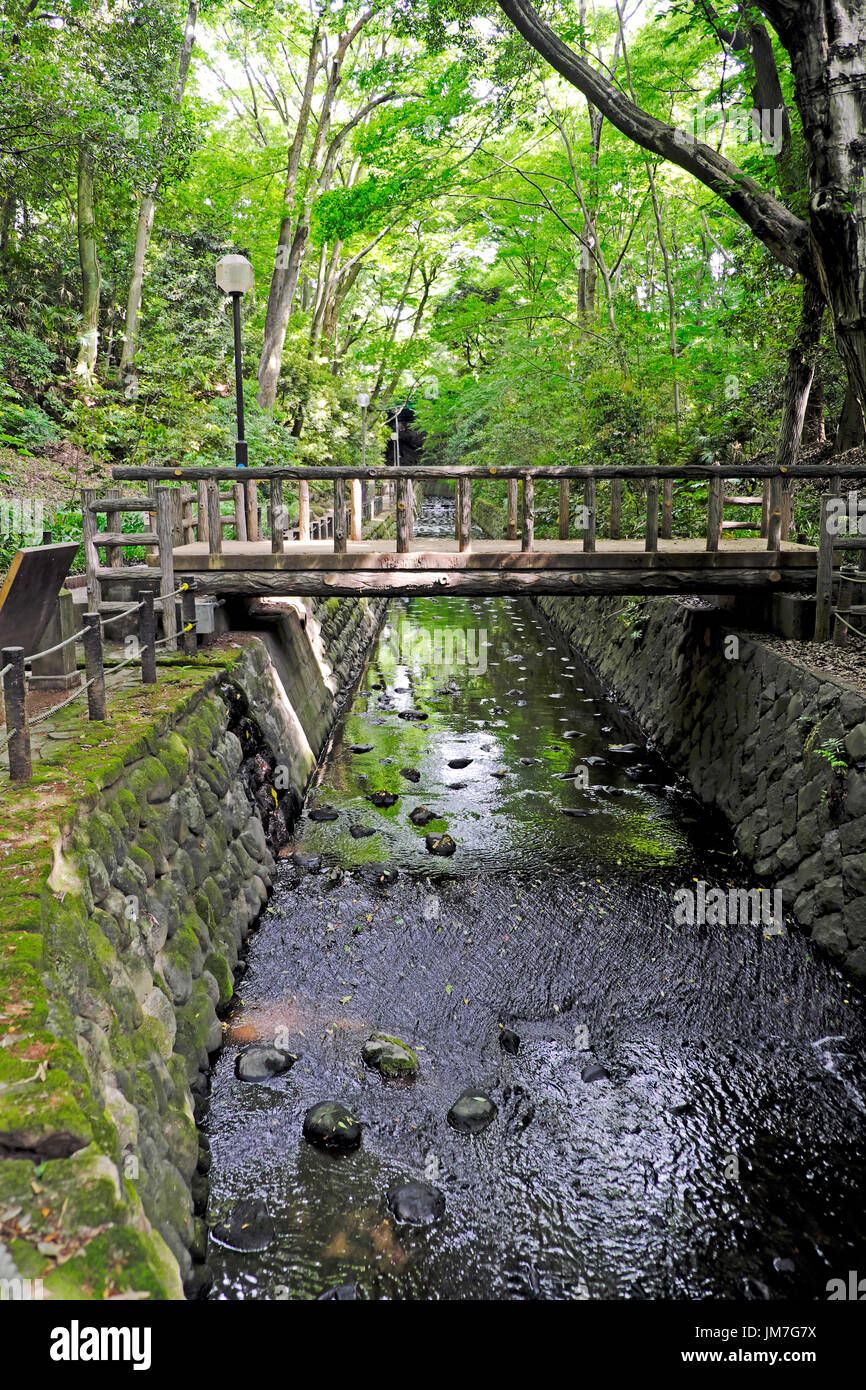 Todoroki Valley, located in the middle of the densely populated ...