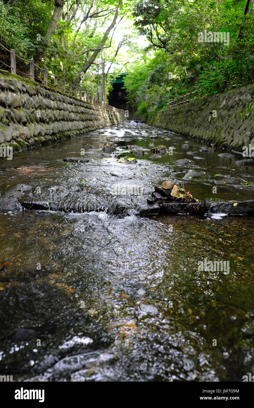 Todoroki Valley, located in the middle of the densely populated ...