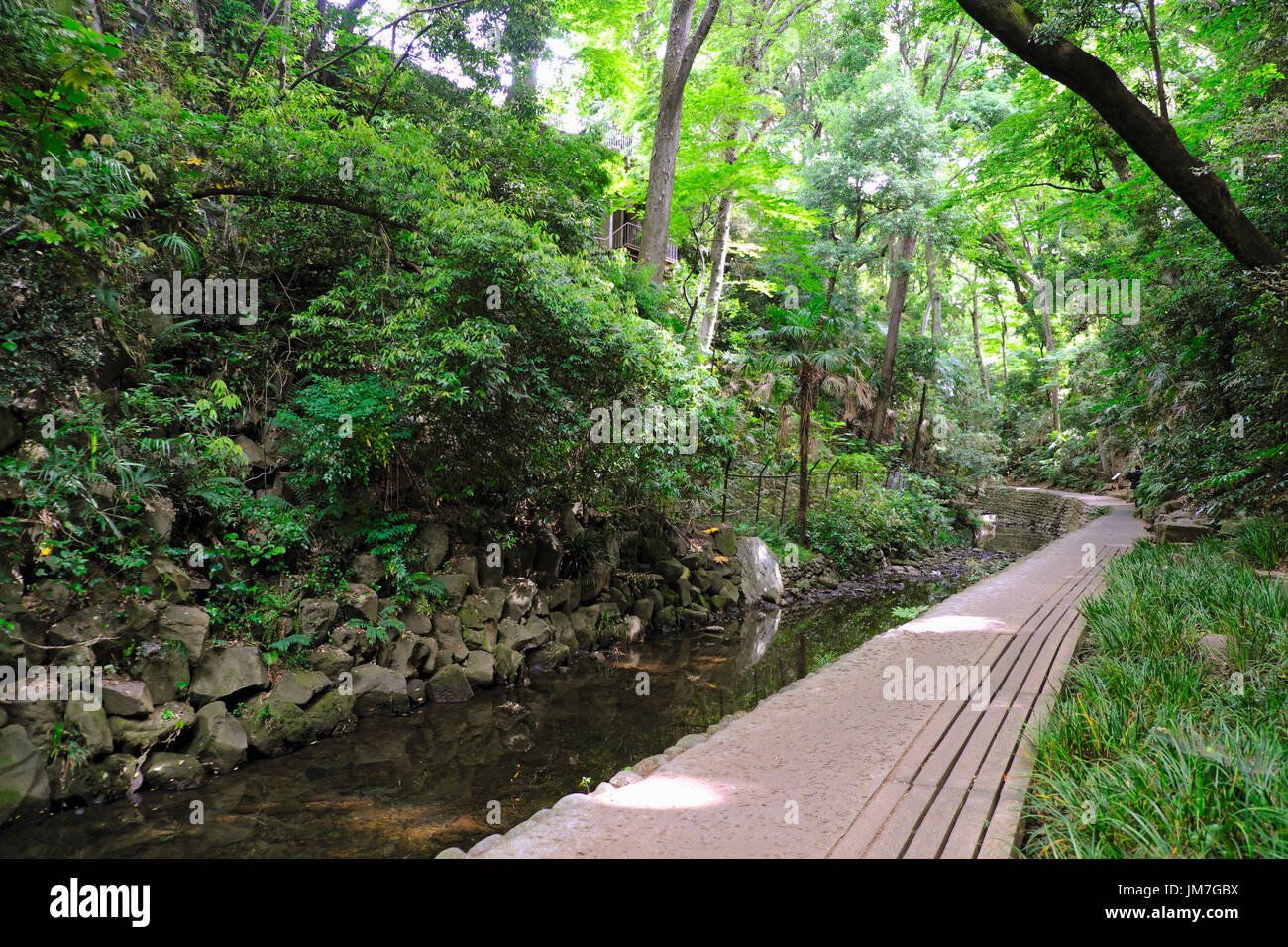 Todoroki hi-res stock photography and images - Alamy