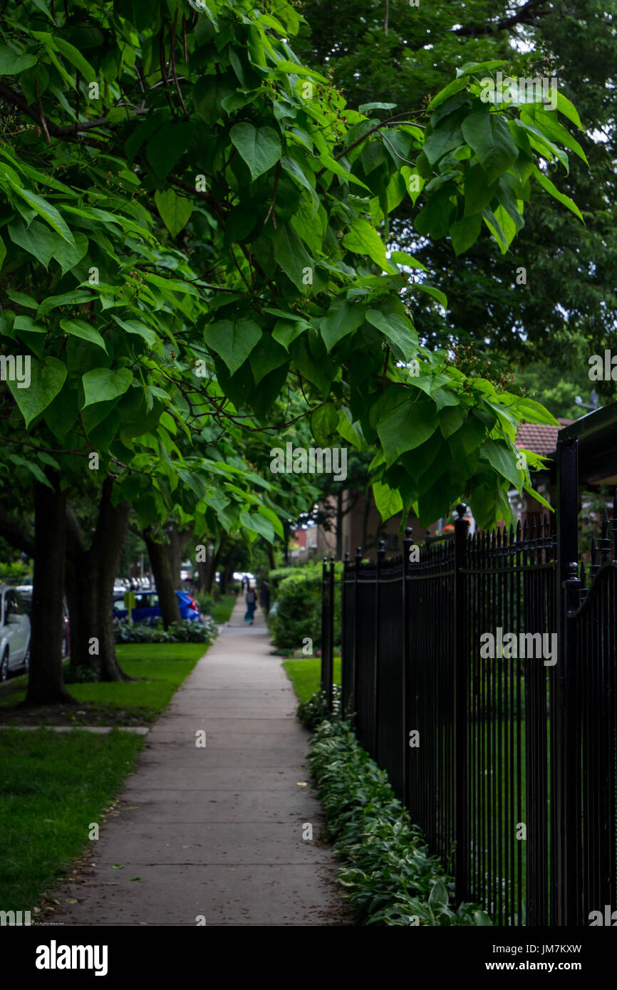 Side view shadow walking hi-res stock photography and images - Alamy