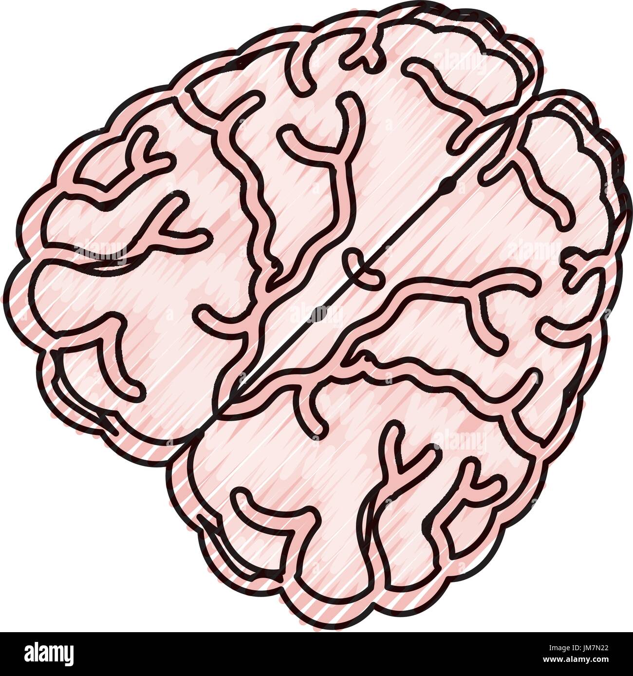 Scribble Brain Stock Photos & Scribble Brain Stock Images - Alamy