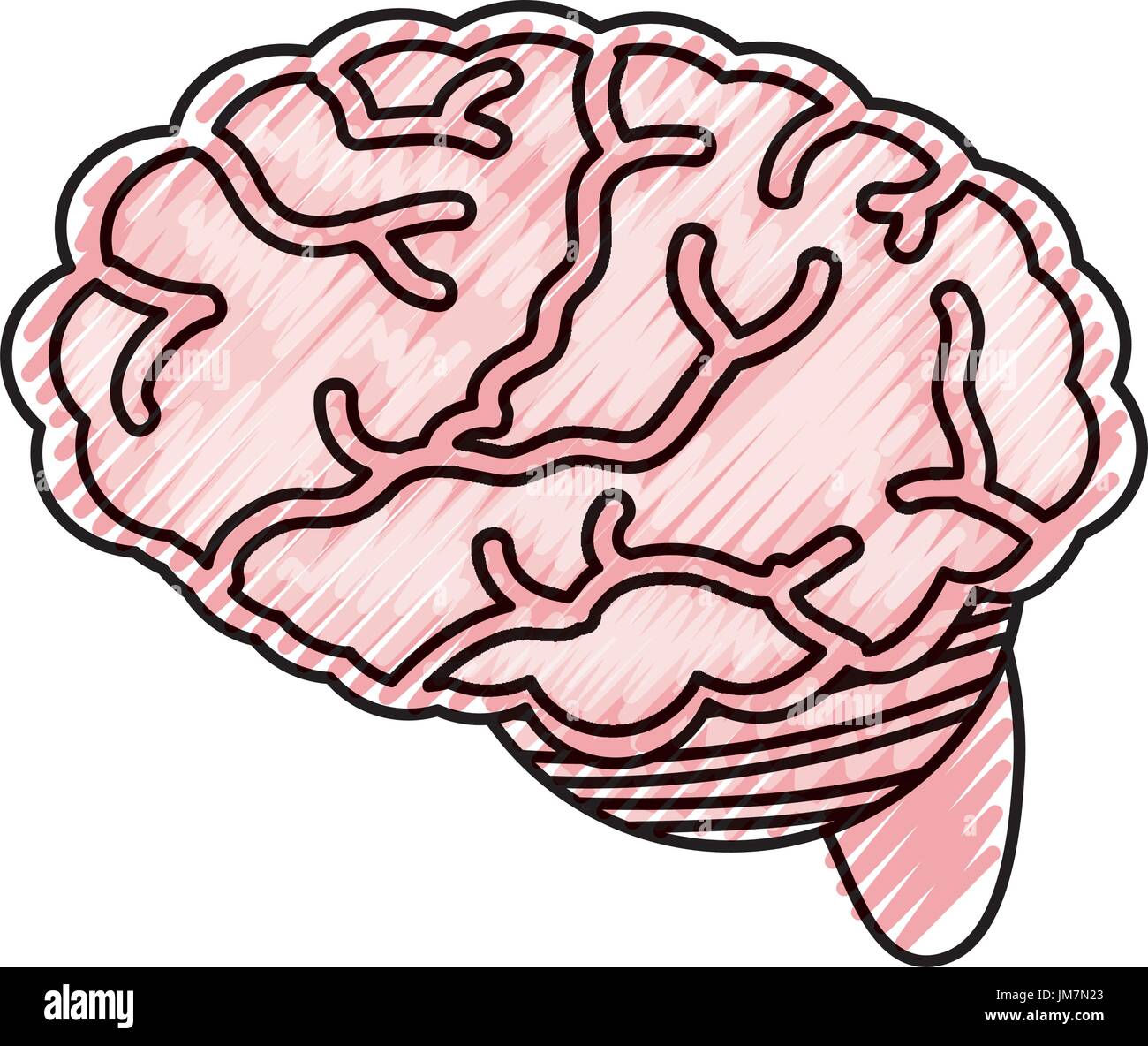 Scribble Brain Stock Photos & Scribble Brain Stock Images - Alamy