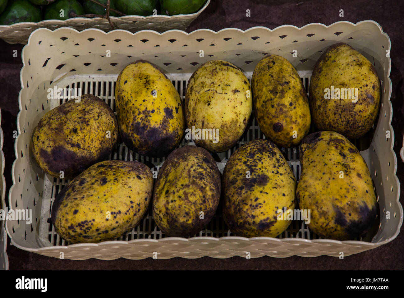Nine ripened mangoes in plastic tray Stock Photo - Alamy