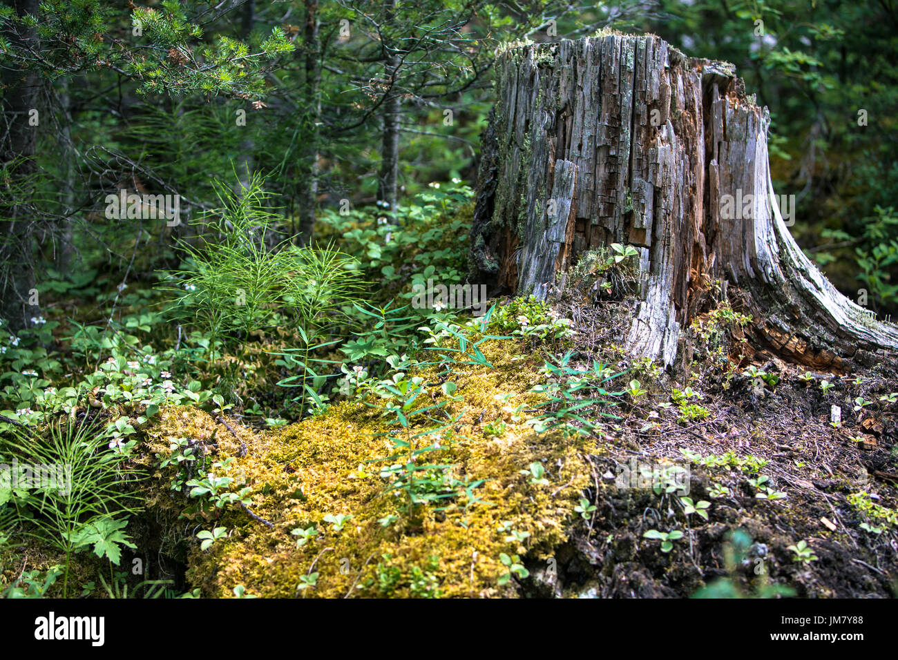 The beautiful walking paths welcome thousands of visitors every day to ...