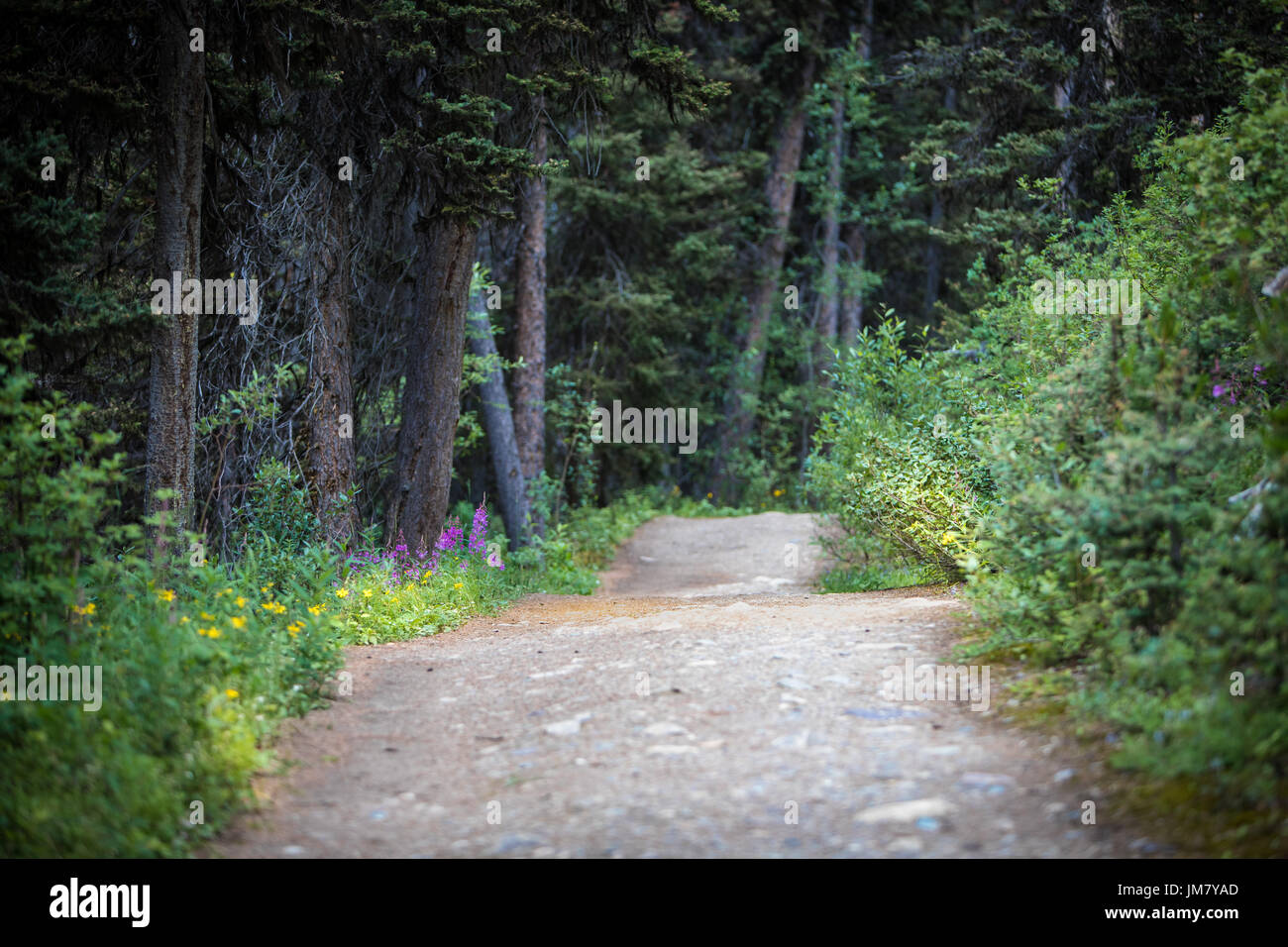The beautiful walking paths welcome thousands of visitors every day to ...