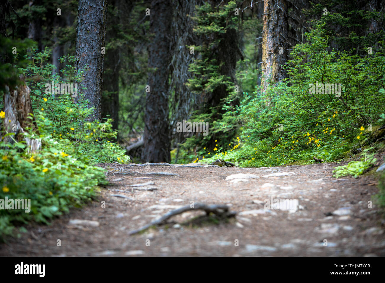 The beautiful walking paths welcome thousands of visitors every day to ...
