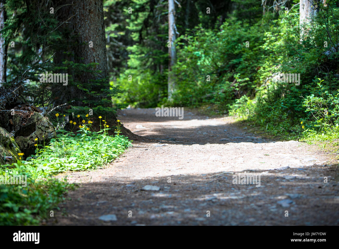 The beautiful walking paths welcome thousands of visitors every day to ...