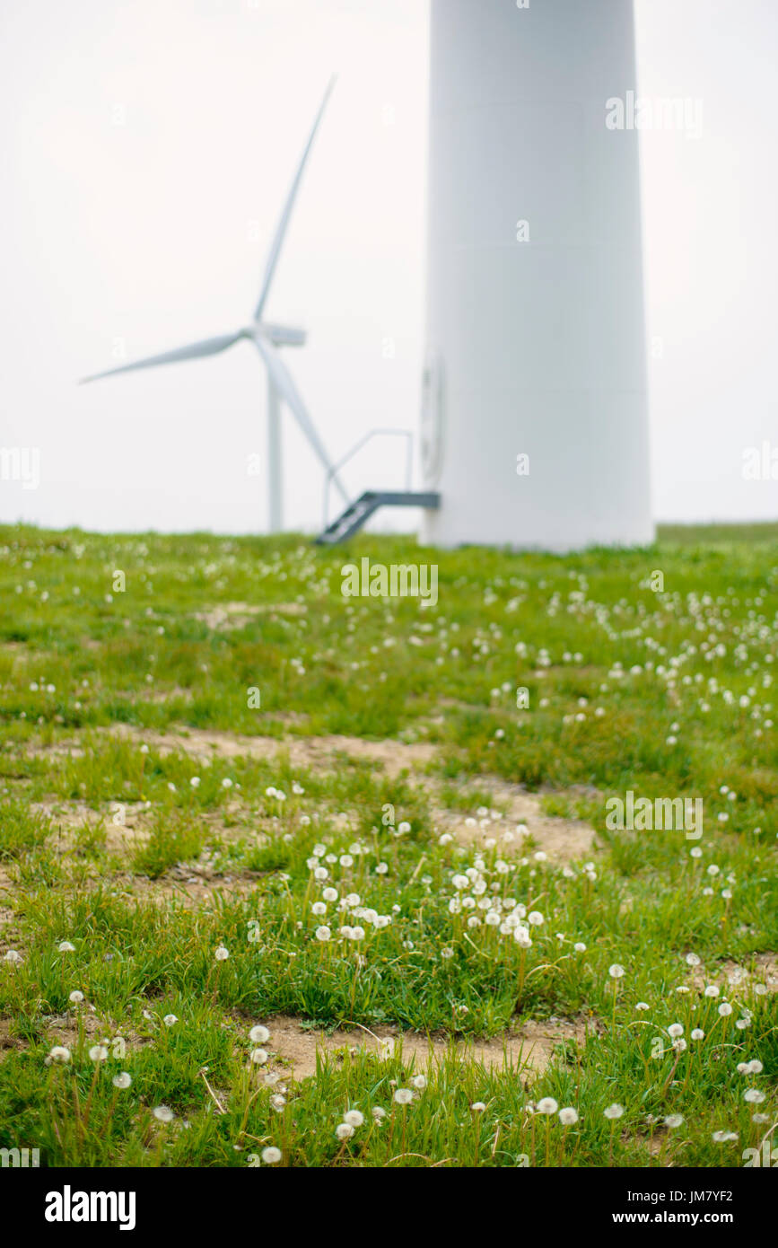 Wind Turbine and grassland Stock Photo - Alamy