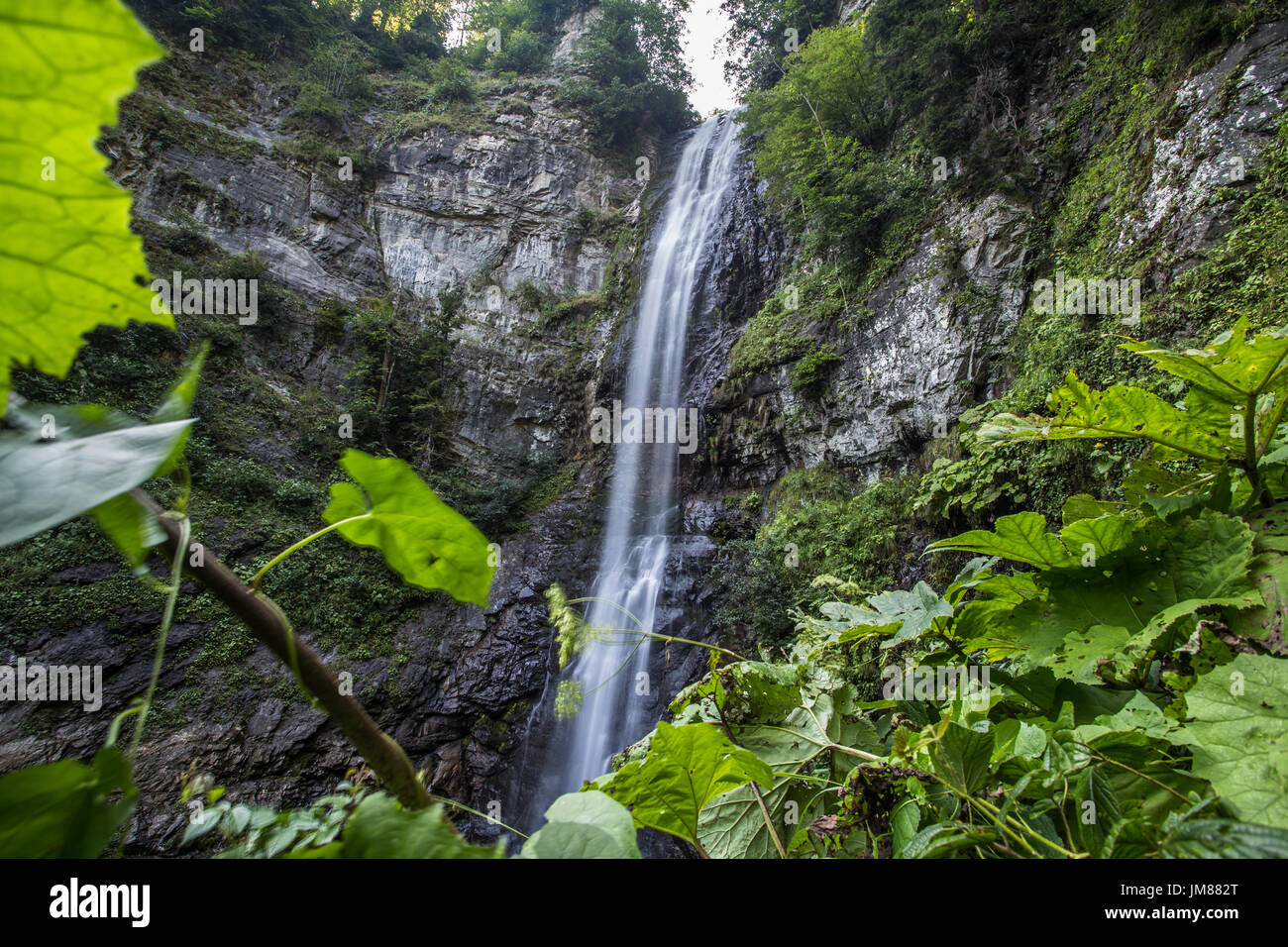 Maral Waterfall. Borcka, Macahel,Artvin,Turkey Stock Photo - Alamy