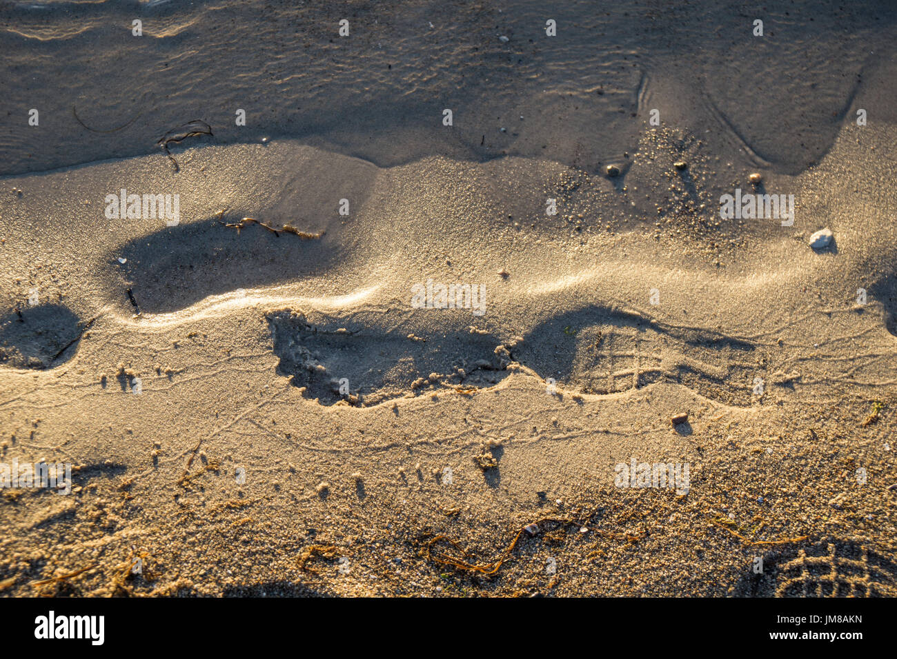 Beach side with wet footsteps after the beach guests Stock Photo - Alamy