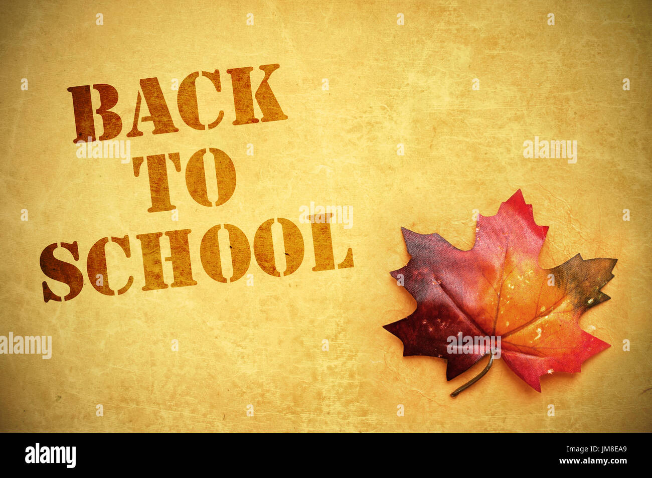 Back to school background with autumn leaf Stock Photo - Alamy
