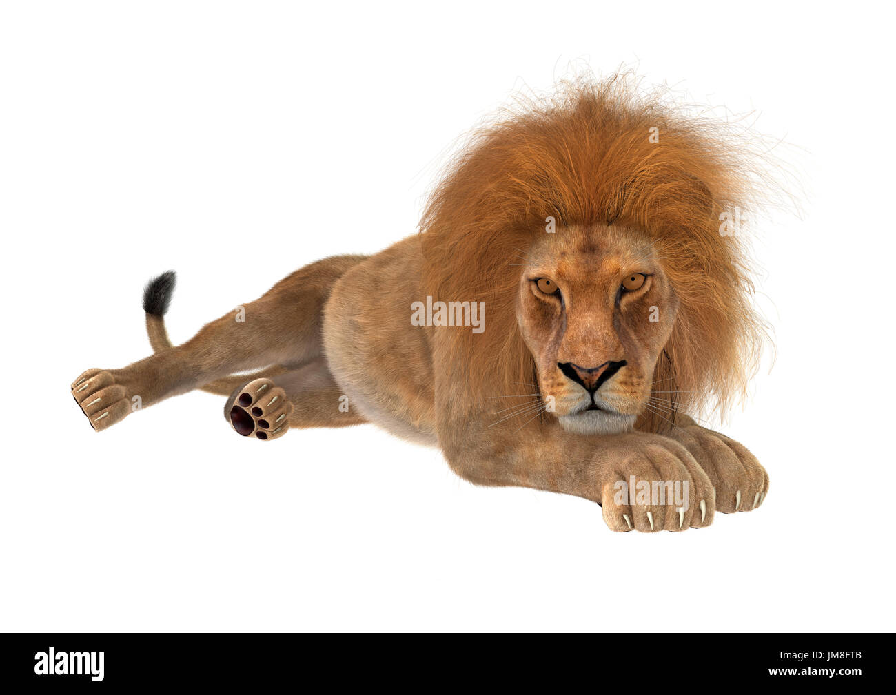3D rendering of a male lion laying isolated on white background Stock ...