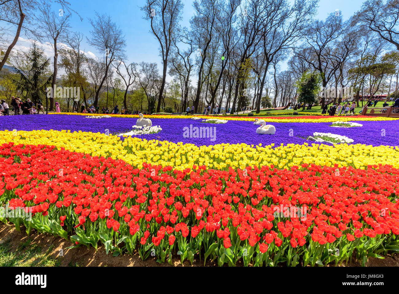 Traditional Tulip Festival in Emirgan Park, a historical urban park ...