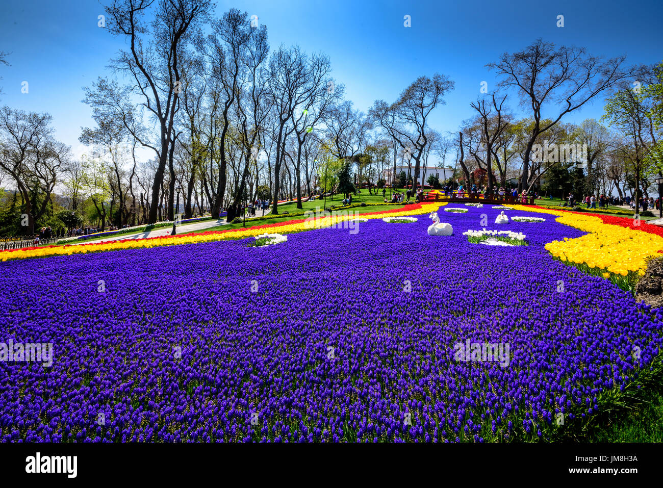 Traditional Tulip Festival in Emirgan Park, a historical urban park ...
