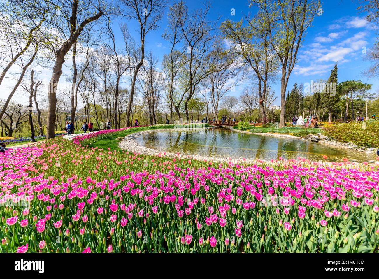 Traditional Tulip Festival in Emirgan Park, a historical urban park ...
