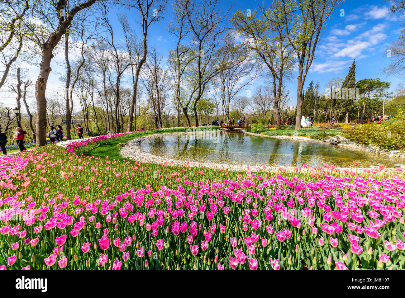 Traditional Tulip Festival in Emirgan Park, a historical urban park ...