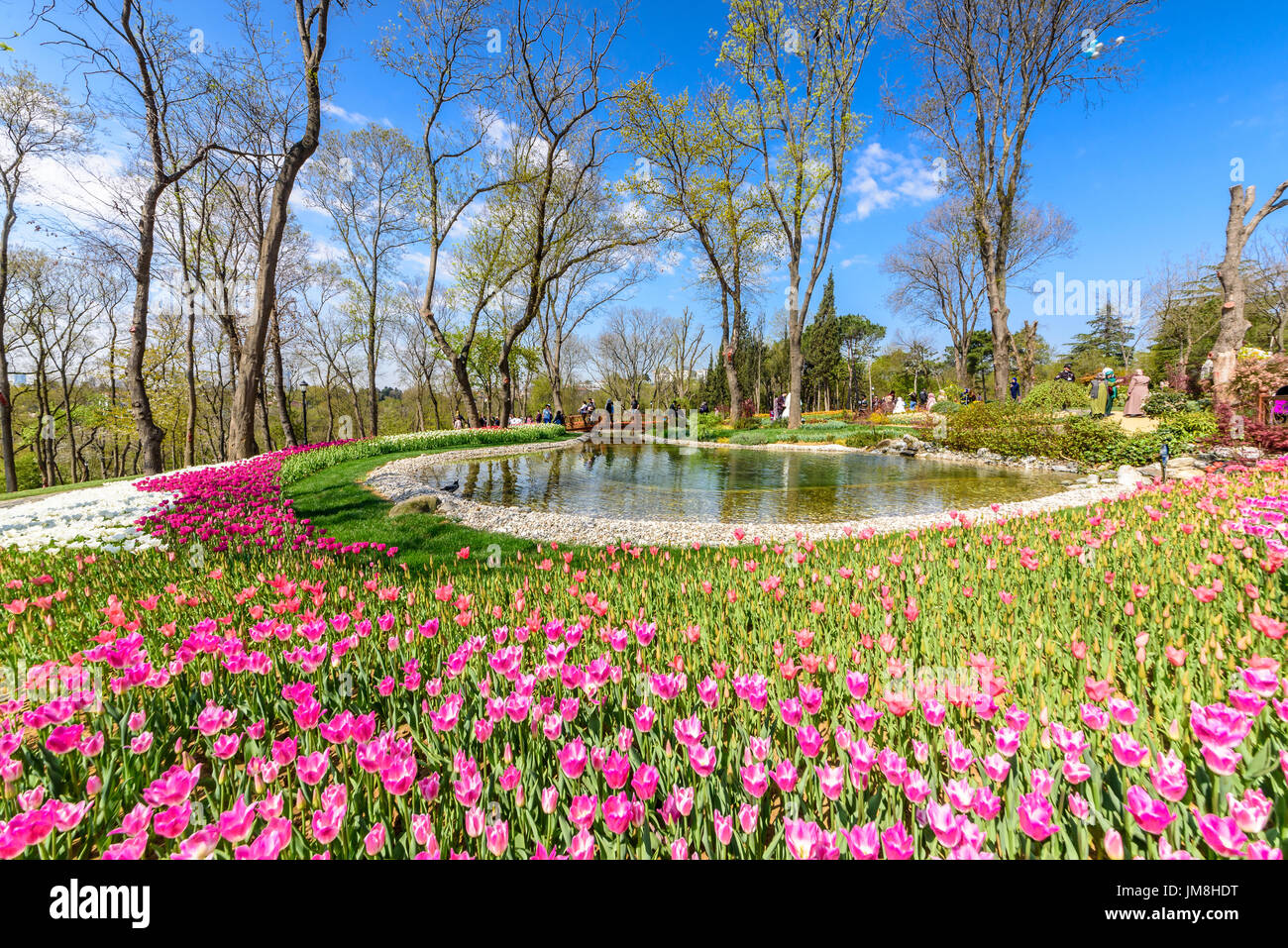 Traditional Tulip Festival in Emirgan Park, a historical urban park ...