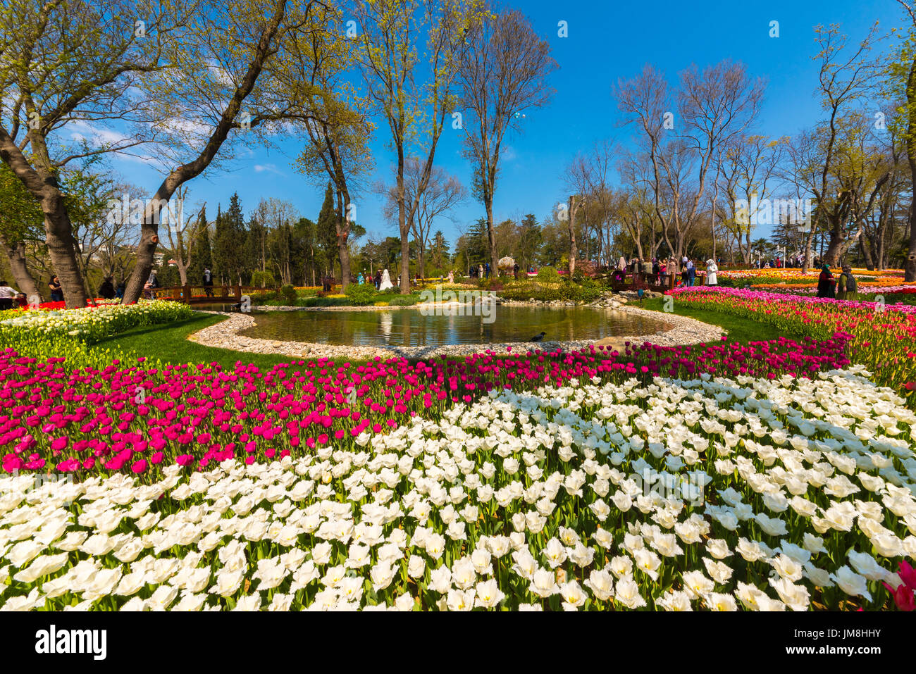Traditional Tulip Festival in Emirgan Park, a historical urban park ...