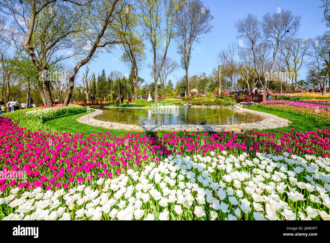 Traditional Tulip Festival in Emirgan Park, a historical urban park ...