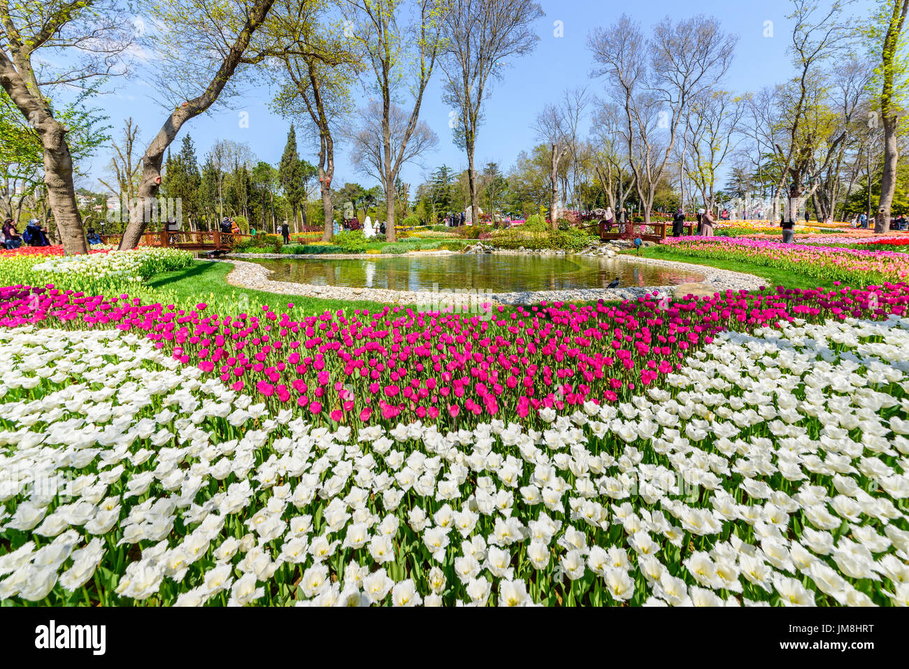 Traditional Tulip Festival in Emirgan Park, a historical urban park ...