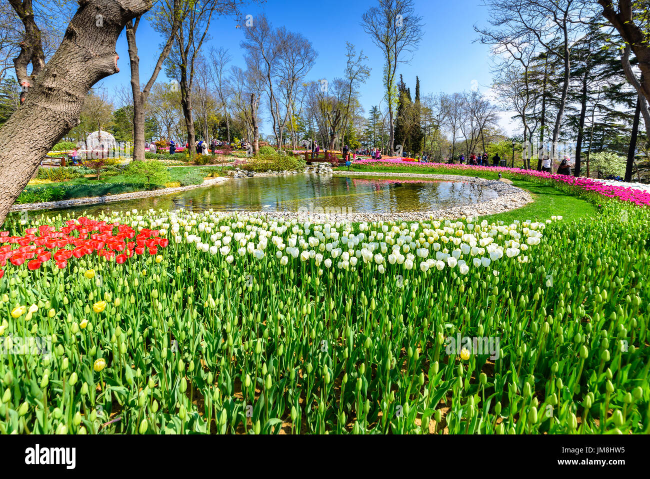 Traditional Tulip Festival in Emirgan Park, a historical urban park ...