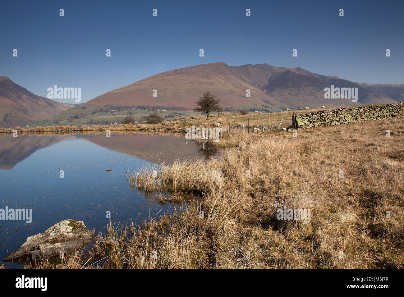 Tewet High Resolution Stock Photography and Images - Alamy