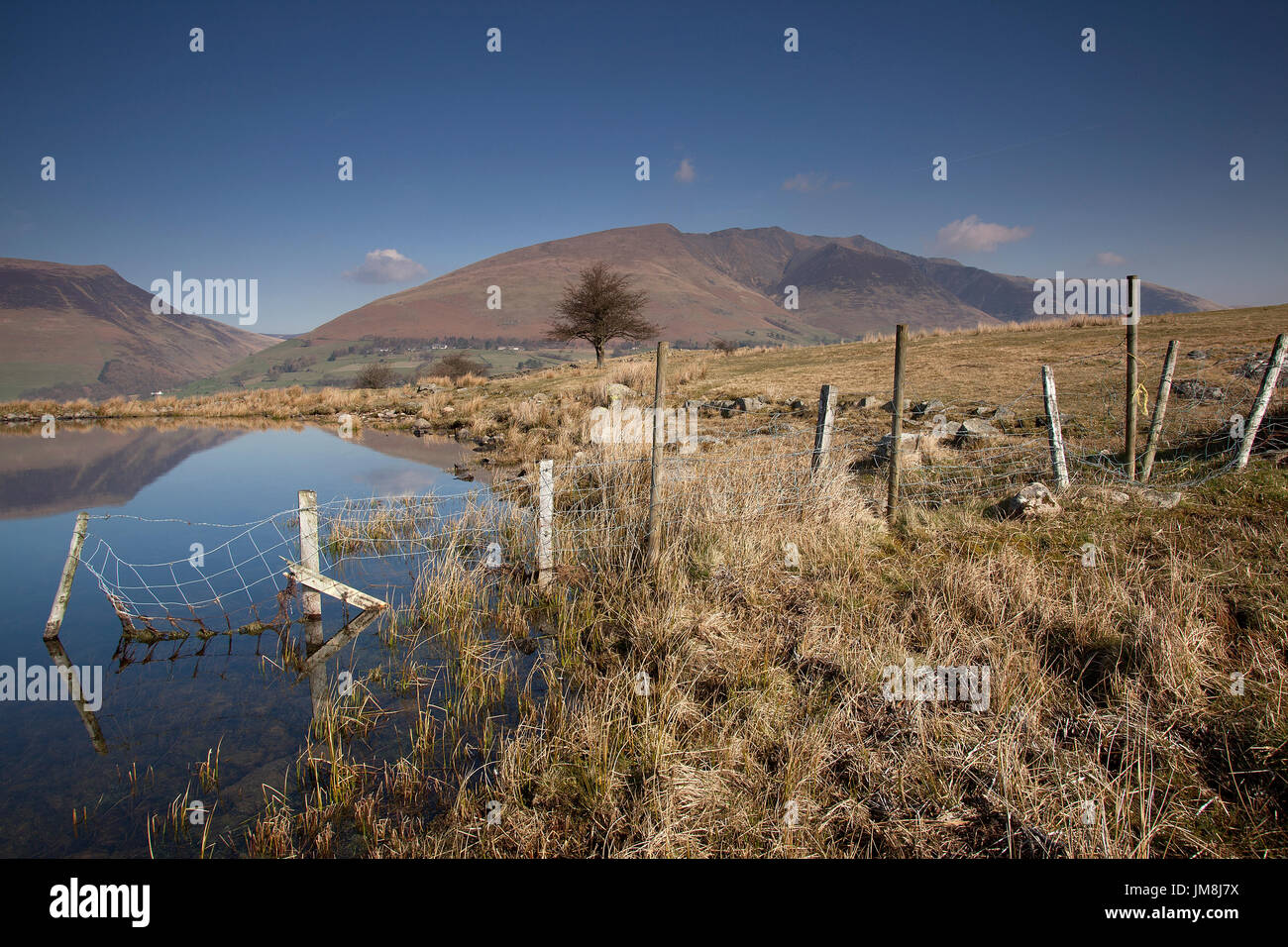 Tewet High Resolution Stock Photography and Images - Alamy