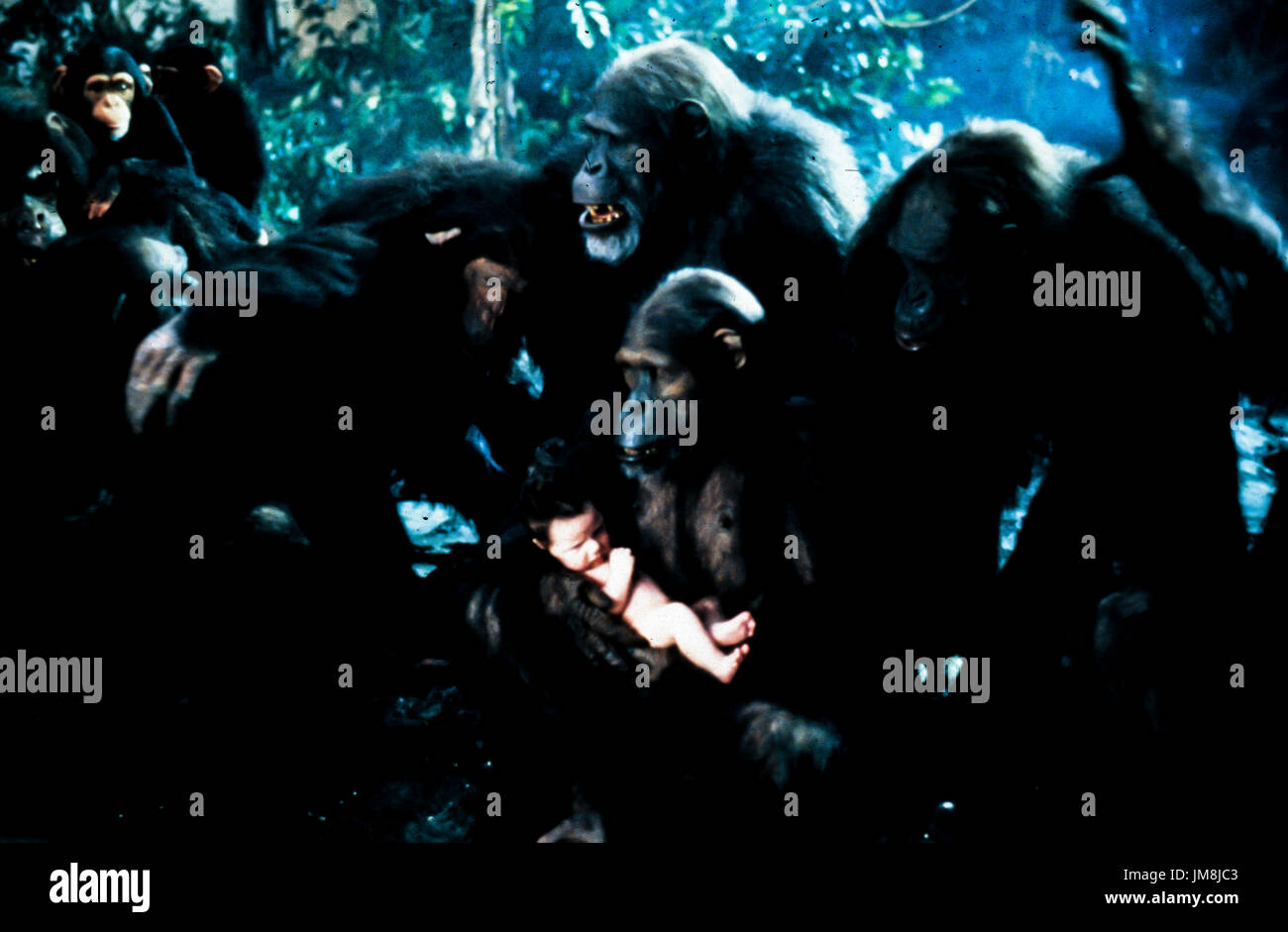 Greystoke tarzan 1984 hi-res stock photography and images - Alamy